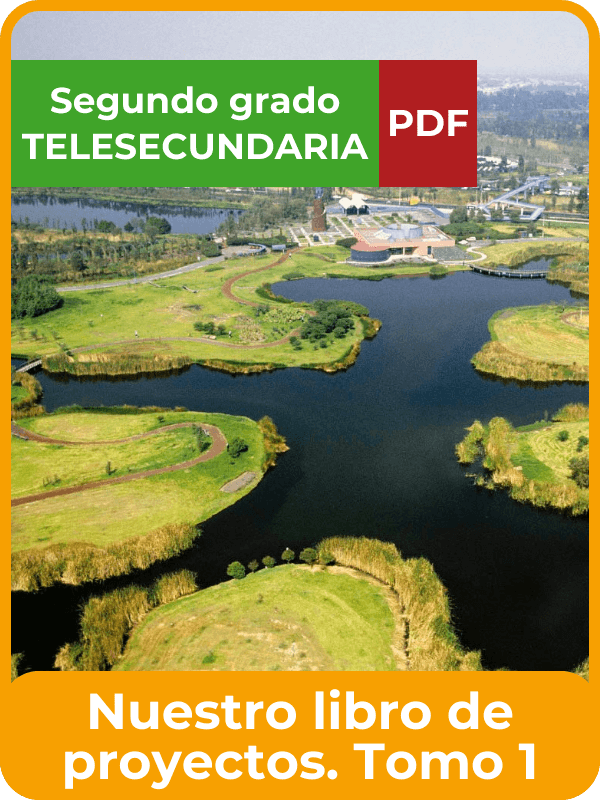 Nuestro libro de proyectos Tomo 1 segundo grado